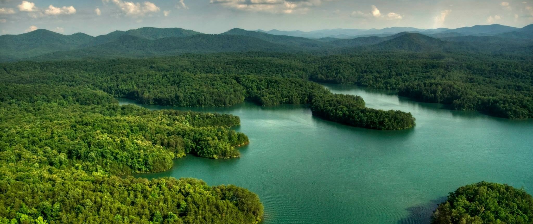 Lake Blue Ridge, GA | Top Rated Fishing Guide
